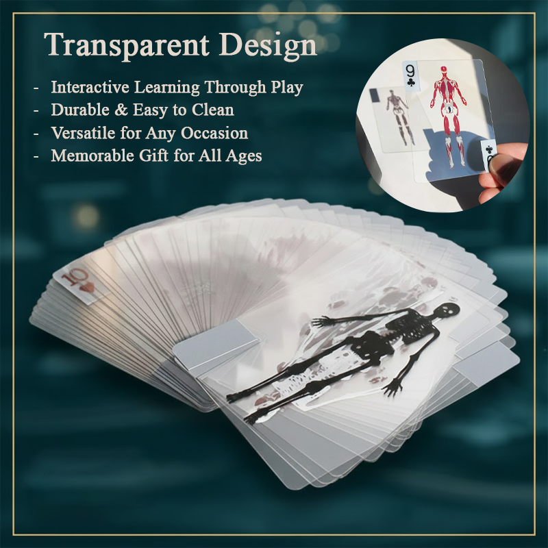 ComfortCornerUs™ BoneMatrix Transparent Body Deck – Comfort Corner US